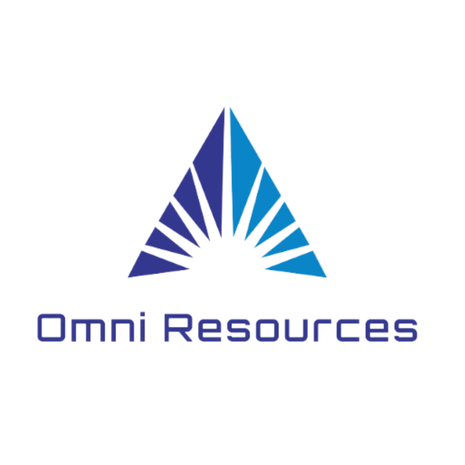 Omni Business Resources Small Business Consultant